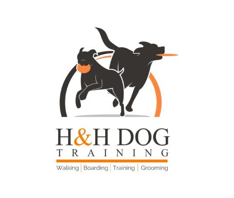 Finding the Best Local Dog Walking Groups Near You in 2026 - H and H ...
